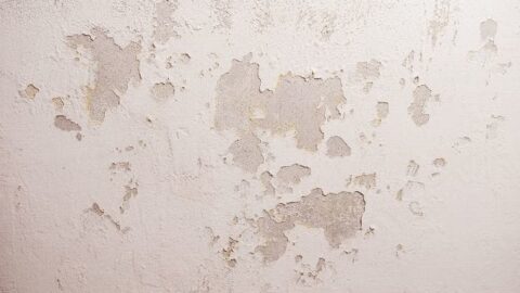 What Causes Moisture on Walls? (And What To Do About It) – Home ...
