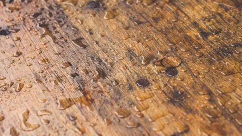 Floors Feel Damp? Here’s 4 Likely Reasons – Home Efficiency Guide