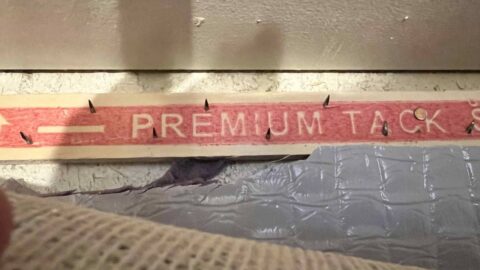 How To Tighten Loose Carpet on Stairs: Complete Guide – Home Efficiency ...